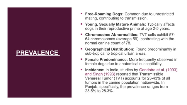 Canine Transmissible Venereal Tumor (TVT) | PPTX | Cancer | Diseases ...