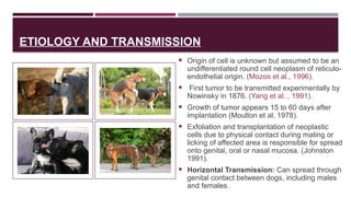 Canine Transmissible Venereal Tumor (TVT) | PPTX