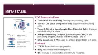 Canine Transmissible Venereal Tumor (TVT) | PPTX