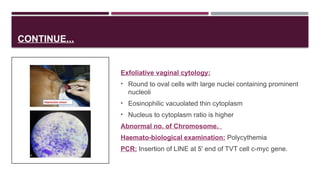 Canine Transmissible Venereal Tumor (TVT) | PPTX