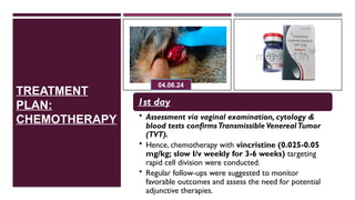 Canine Transmissible Venereal Tumor (TVT) | PPTX