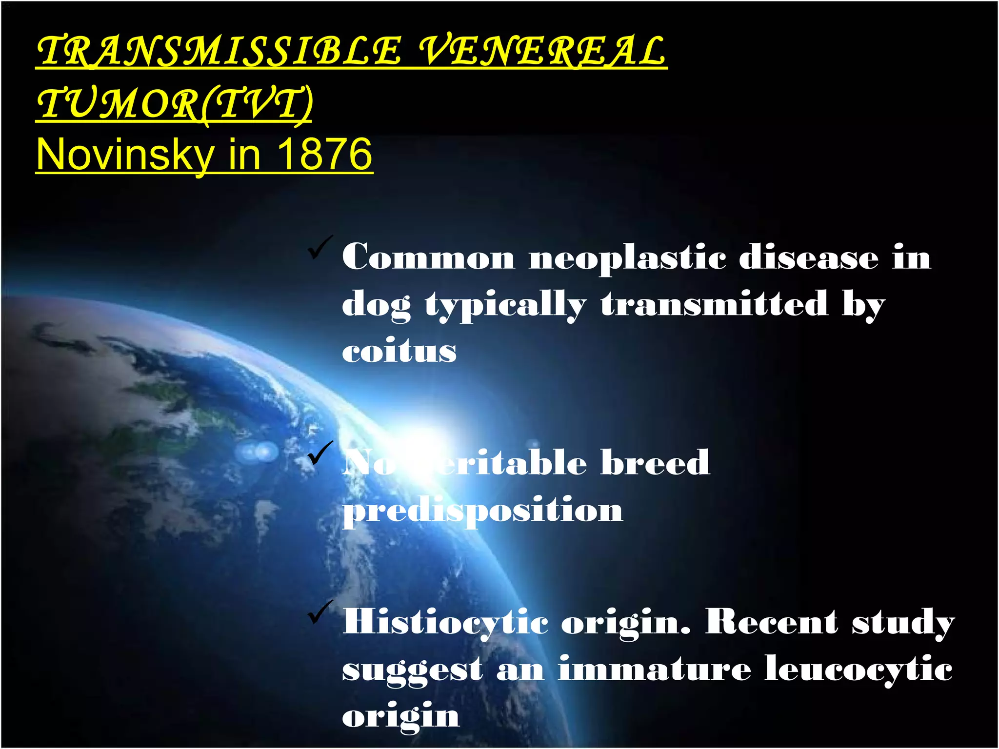 TRANSMISSIBLE VENEREAL TUMOR N DOGS | PPT
