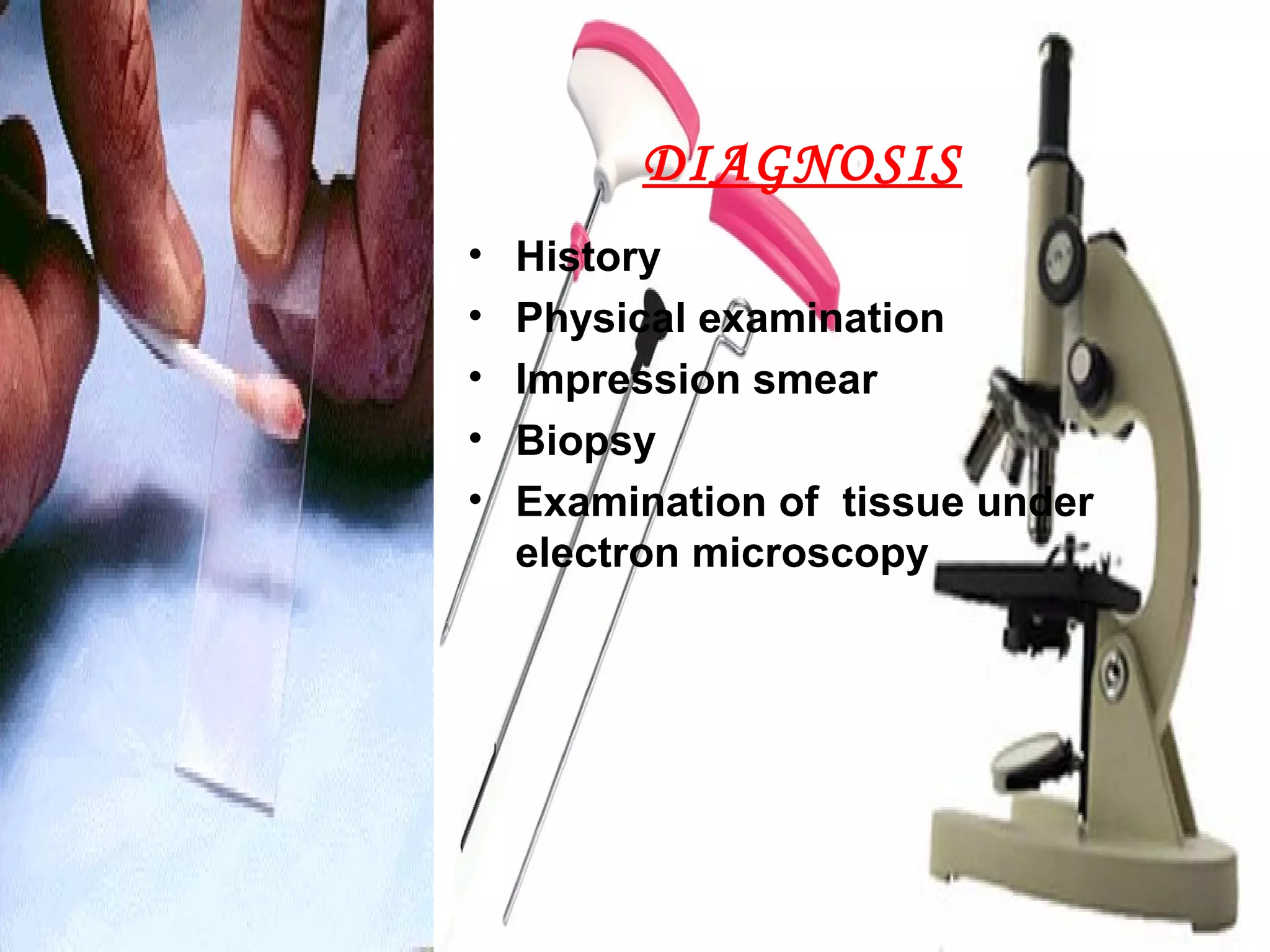 TRANSMISSIBLE VENEREAL TUMOR N DOGS | PPT