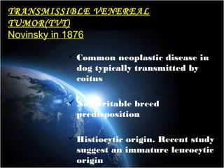 TRANSMISSIBLE VENEREAL TUMOR N DOGS | PPT