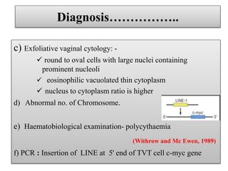 TRANSMISSIBLE VENERAL TUMOR | PPTX