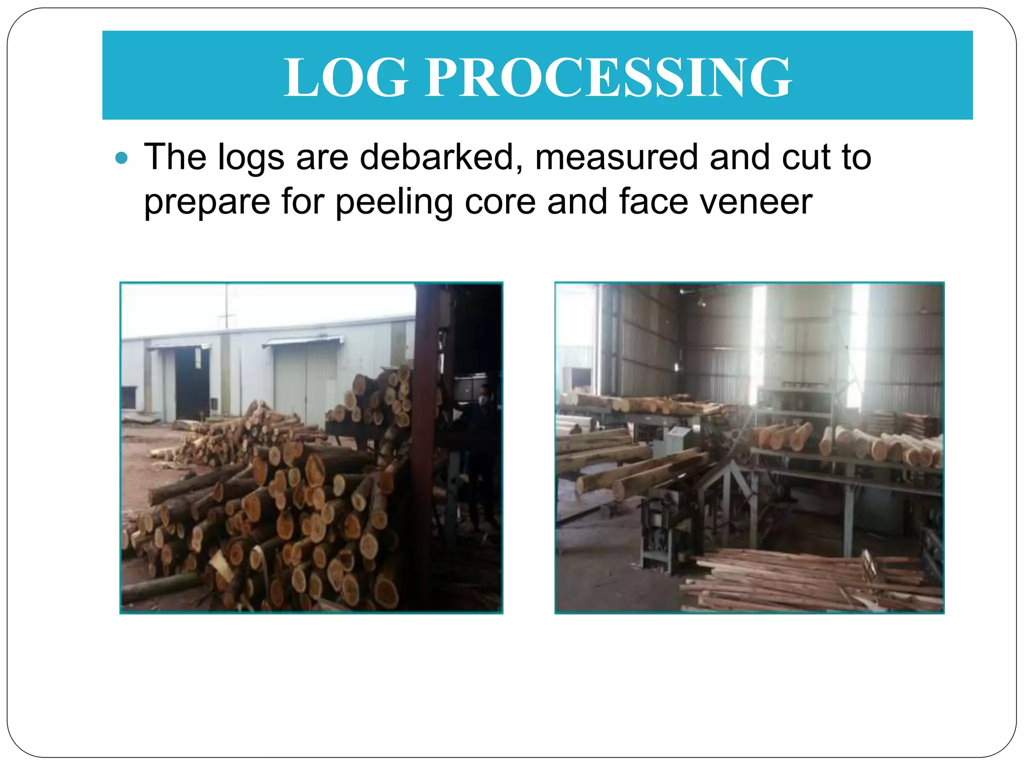 Tvt plywood manufacturing process | PPTX