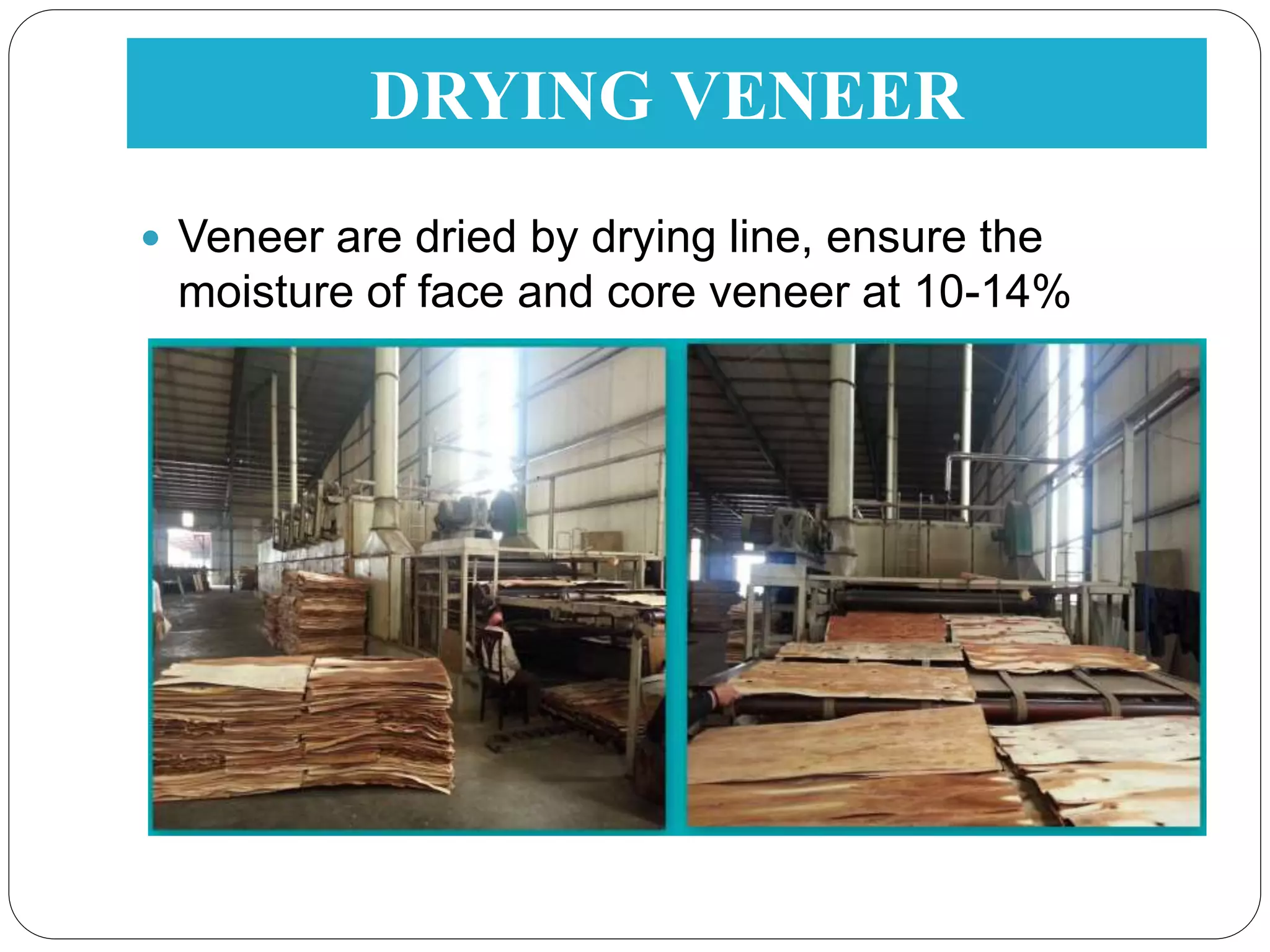 Tvt plywood manufacturing process | PPTX