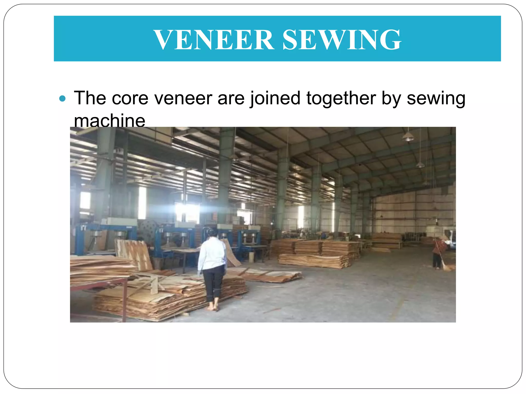 Tvt plywood manufacturing process | PPTX