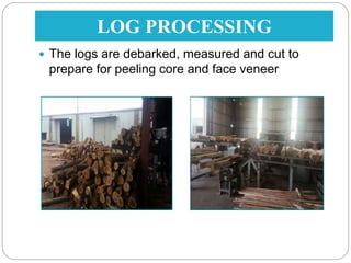 Tvt plywood manufacturing process | PPTX