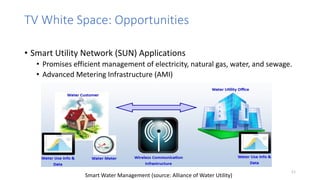 TV White Space Networking: Characteristics, Challenges, and ...