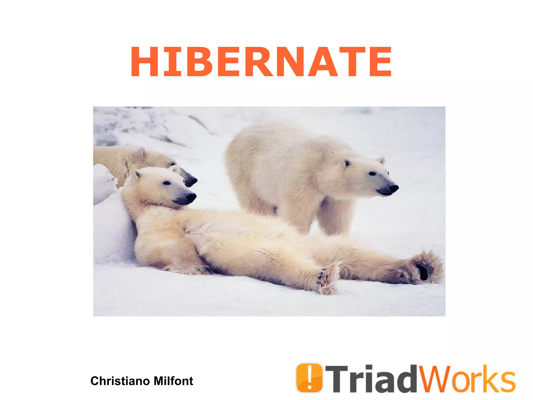 Course Hibernate 2008 Ppt