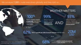 IBM The Weather Company: weather means business 2019 | PPTX