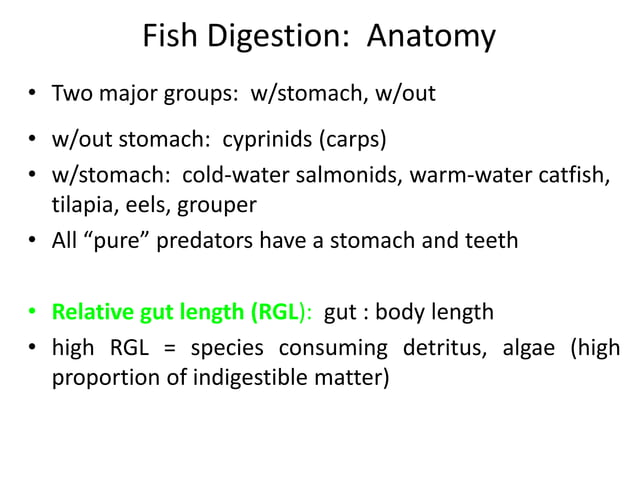 Digestive-System-of-Finfishes GBPUAT Pantnagar college of fisheries.pdf