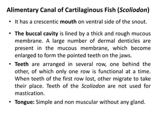 Digestive-System-of-Finfishes GBPUAT Pantnagar college of fisheries.pdf