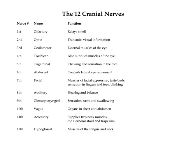 Twelve_Cranial_Nerves.pdf
