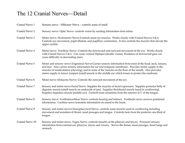 Twelve_Cranial_Nerves.pdf