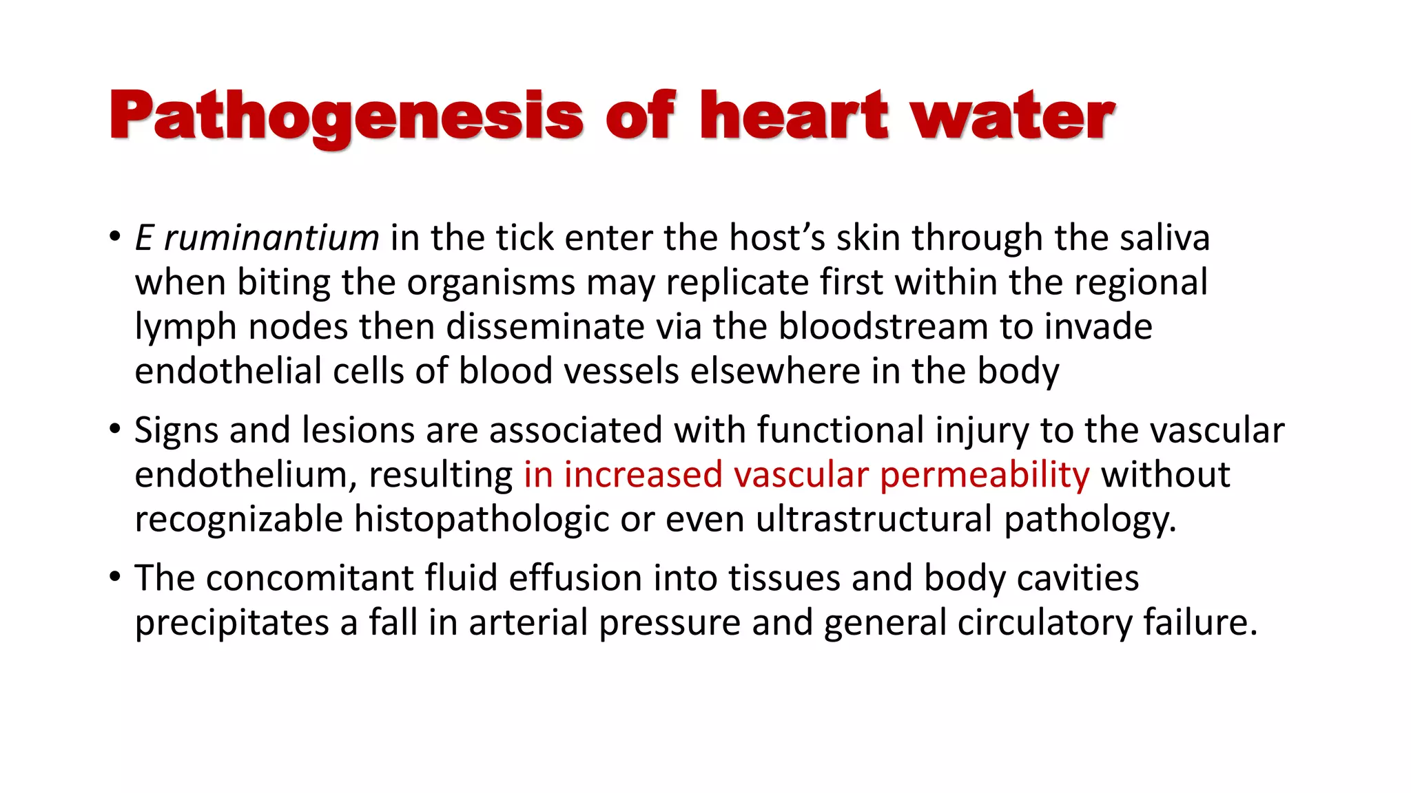 PATHOLOGY OF NEWCASTLE DISEASE, CPV AND HEART WATER | PPTX