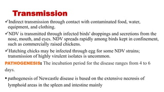 PATHOLOGY OF NEWCASTLE DISEASE, CPV AND HEART WATER | PPTX