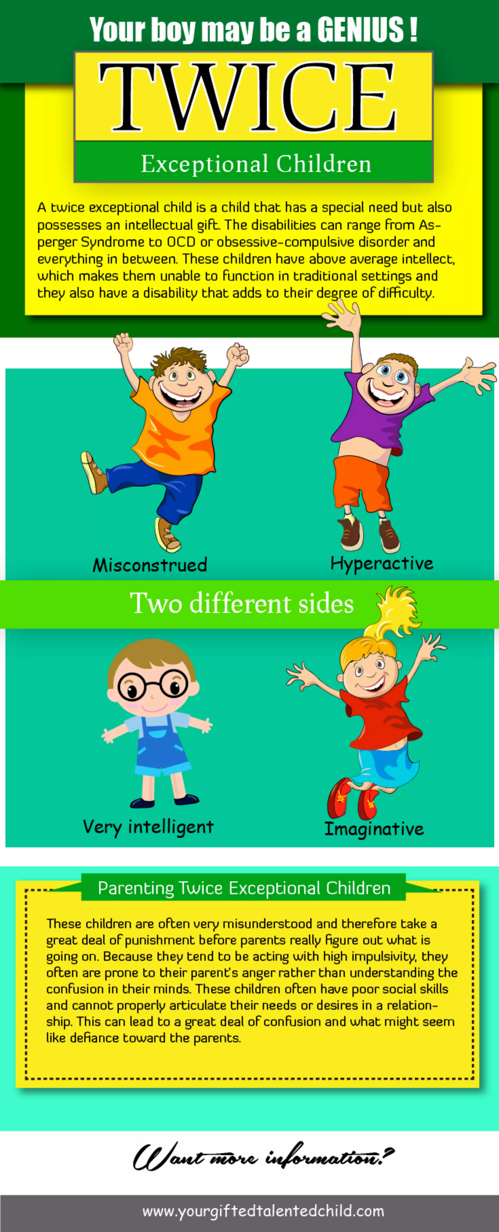 Twice Exceptional Children | PDF