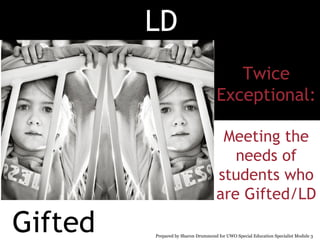 Twice Exceptional | PPT