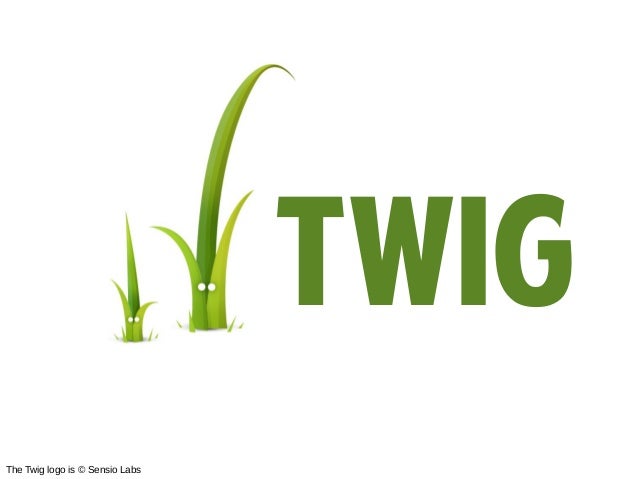 Twig Templating Twig Templating