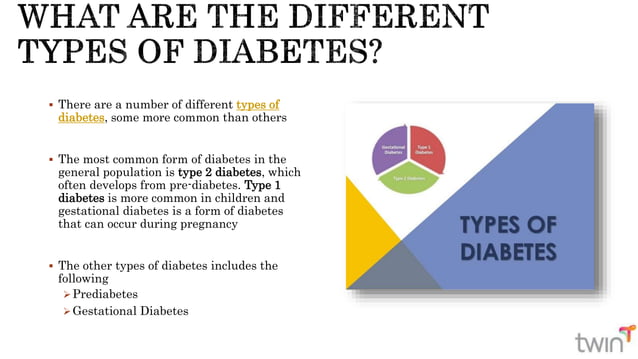 Twin health-best-diabetes-reversal-program-in-india | PPT