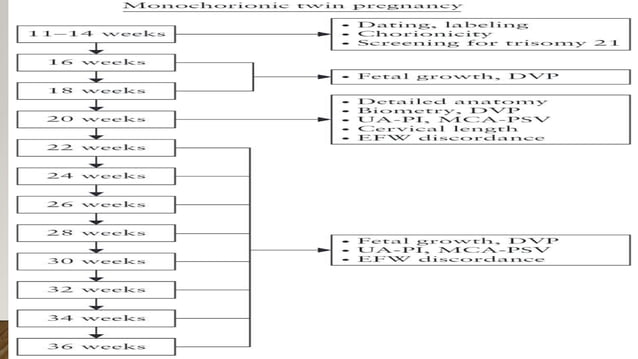 twin gestation..pptx types, complications | PPTX