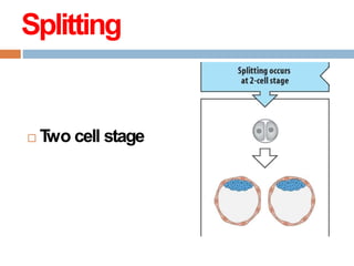 Twinning By Dr. Rabia Inam Gandapore.pptx