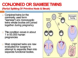 Twinning By Dr. Rabia Inam Gandapore.pptx