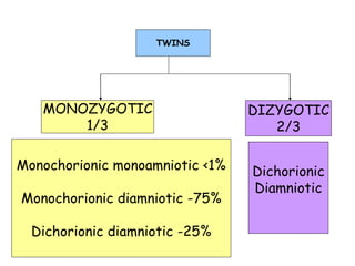 Twin pregnancy-DR.DIVYA JAIN | PPT