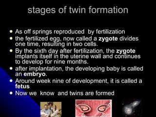 Twins - how can this be? | PPT