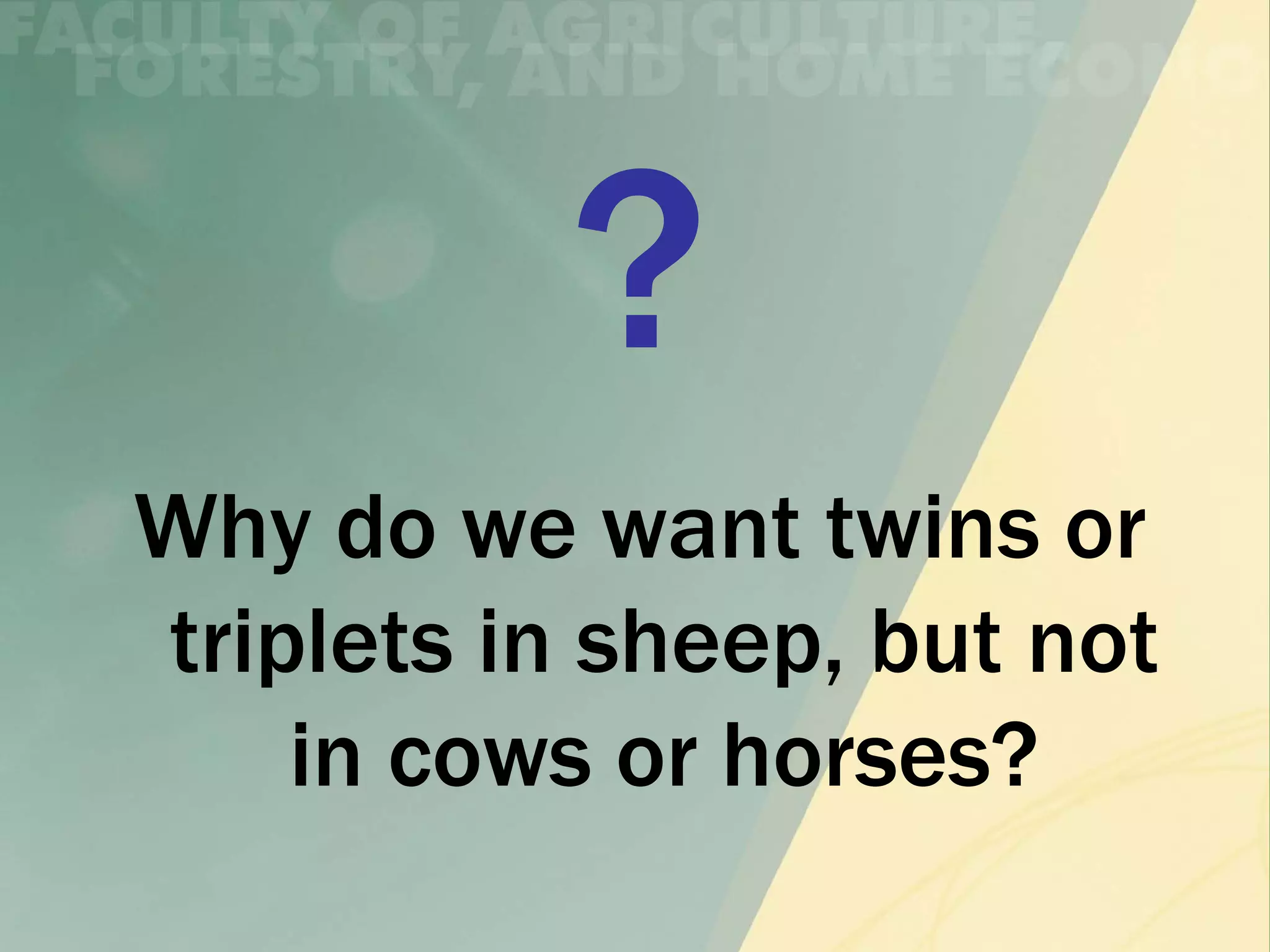Why do we want twins or triplets in sheep, but not in cows or horses? | PDF