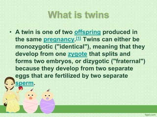 Twins | PPTX
