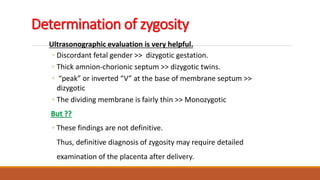 multiple gestations | PPT