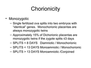 Twins clinical management 2012 | PPT