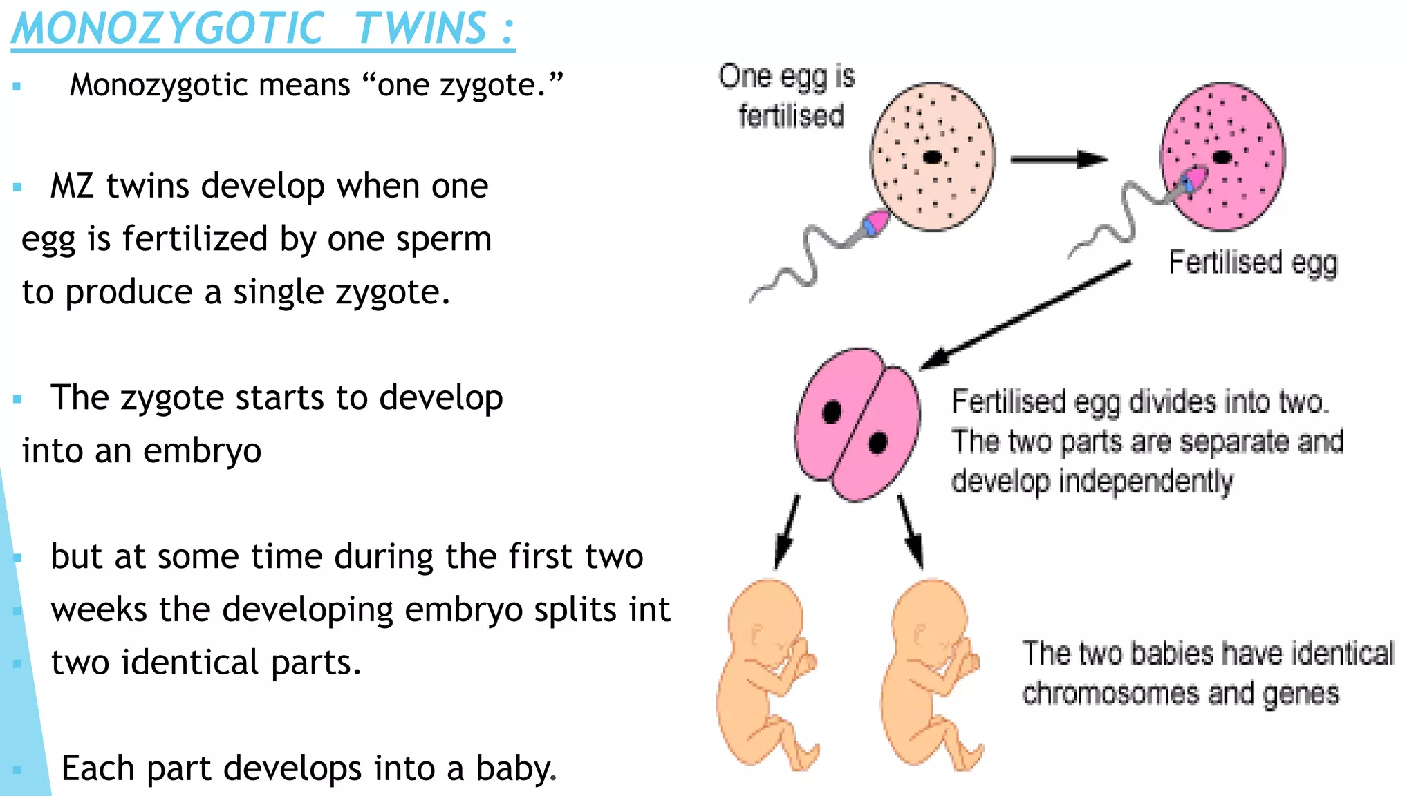 Twins (embryology) | PPTX
