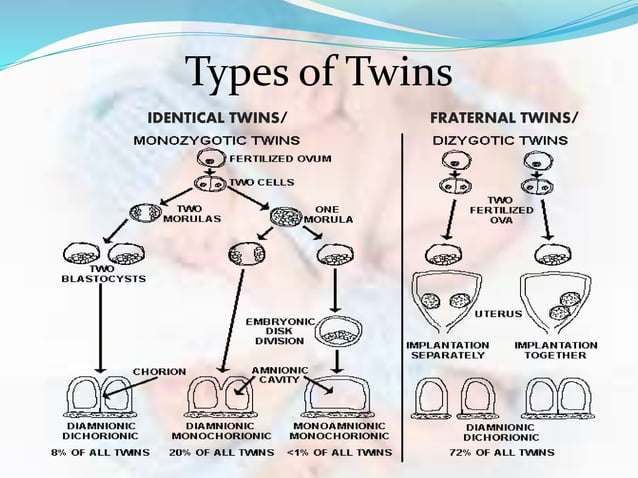 Twin study | PPTX | Genetics | Science