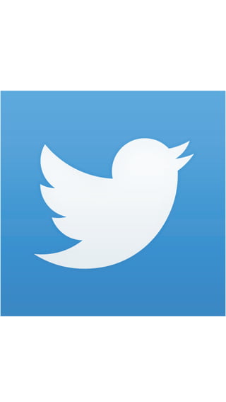 App Review: Twitter | PDF