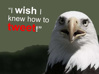 Twitter 101: The Basics | PPTX | Internet for Beginners | Internet