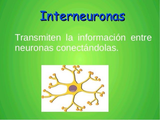 Células del sistema nervioso