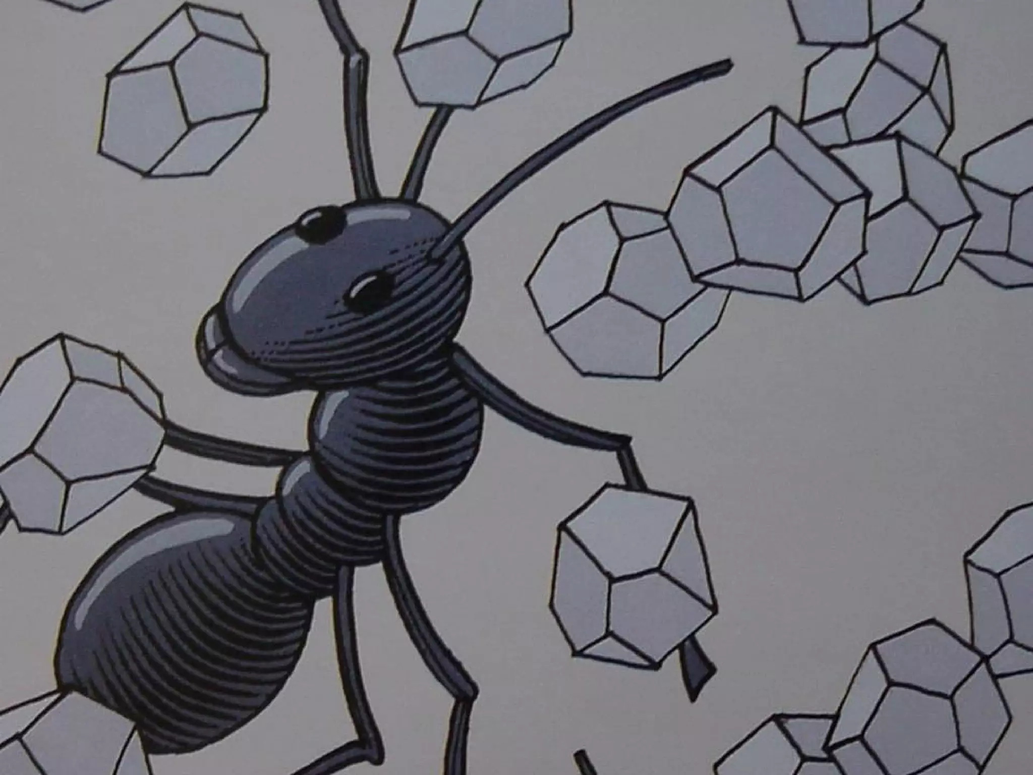 Two Bad Ants Ppt | PPT