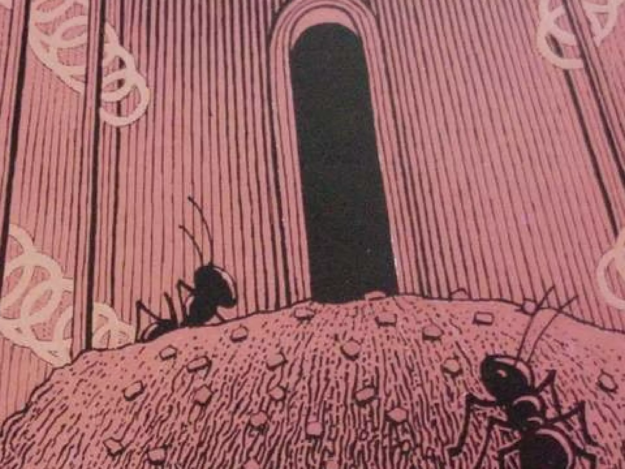 Two Bad Ants Ppt | PPT