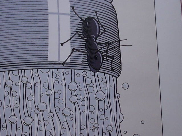 Two Bad Ants Ppt | PPT