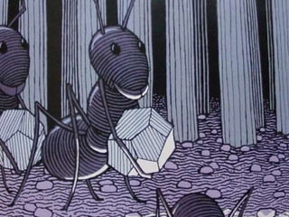 Two Bad Ants Ppt | PPT