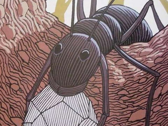 Two Bad Ants Ppt | PPT