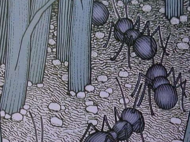 Two Bad Ants Ppt | PPT