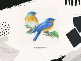 Two-Dimensional_Media.pptx