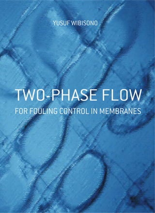 Two phase flow for fouling control in membranes | PDF