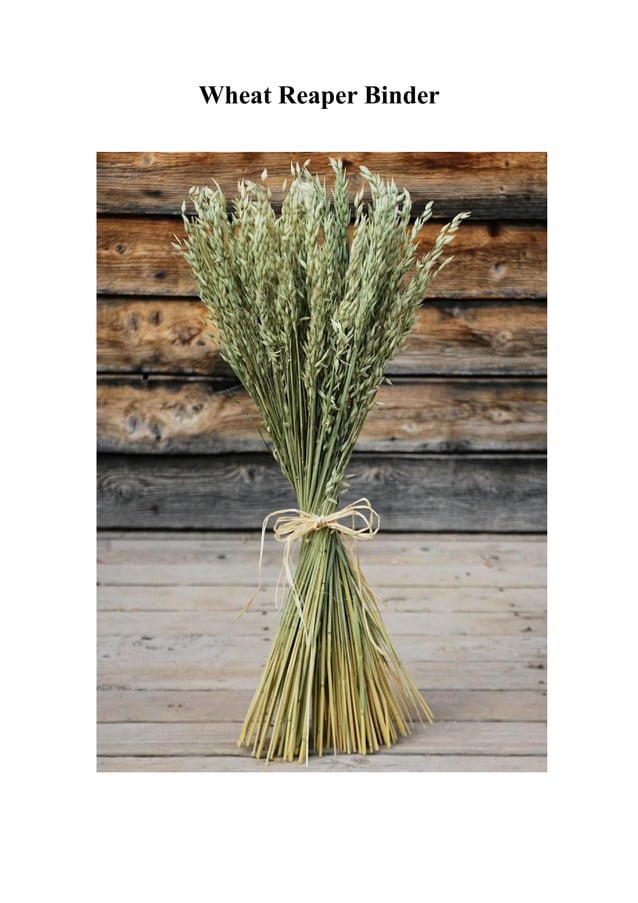 Two-row Reaper Binder with Multi functions, High Adaptation and ...