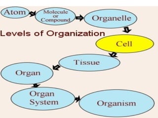 living things & cell theory | PPT